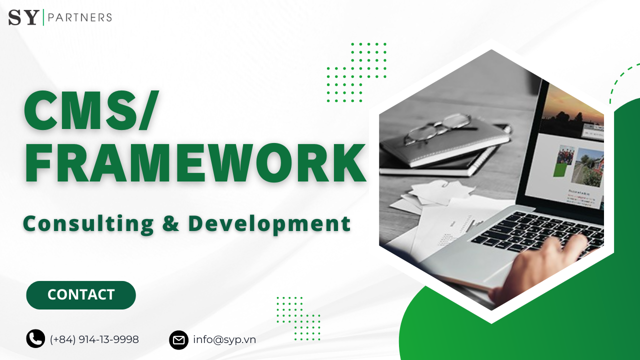 CMS/Framework Consulting & Development | SY Partners